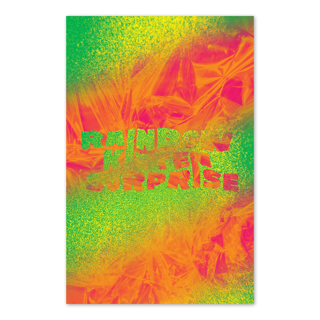 RKS - Lenticular 3D Poster - 11x17 – Rainbow Kitten Surprise